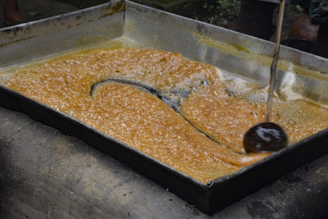 Poush Parban : The Festival of Pithe Puli - The Voices