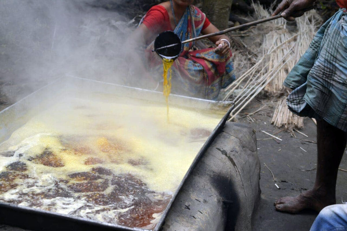 Poush Parban : The Festival of Pithe Puli - The Voices