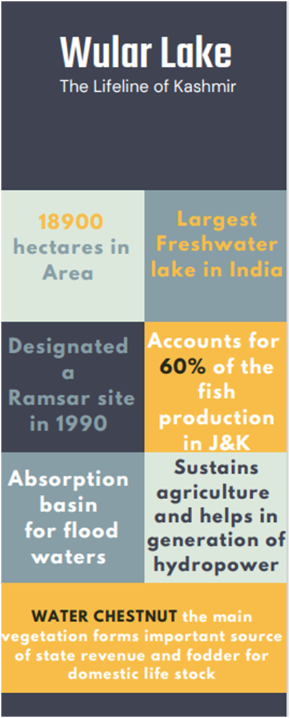 Wular lake – The troubled waters in a wetland - The Voices